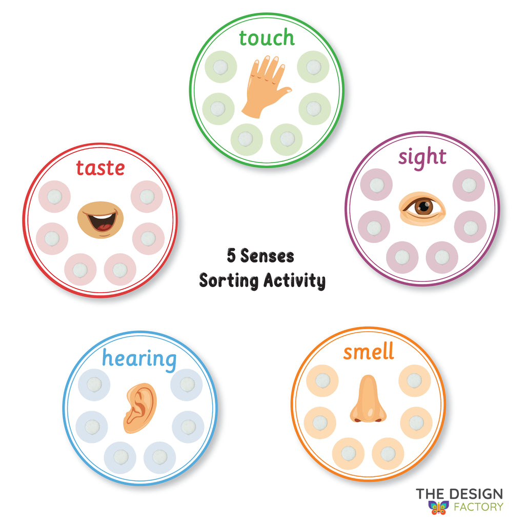 5 Senses Sorting Activity – thedesignfactoryshop