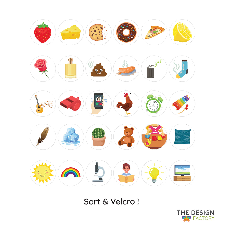 5 Senses Sorting Activity – thedesignfactoryshop